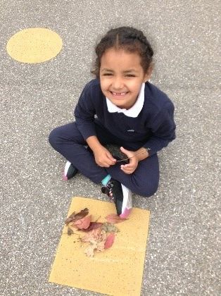 Wilbury Primary School - Year 1 Maths