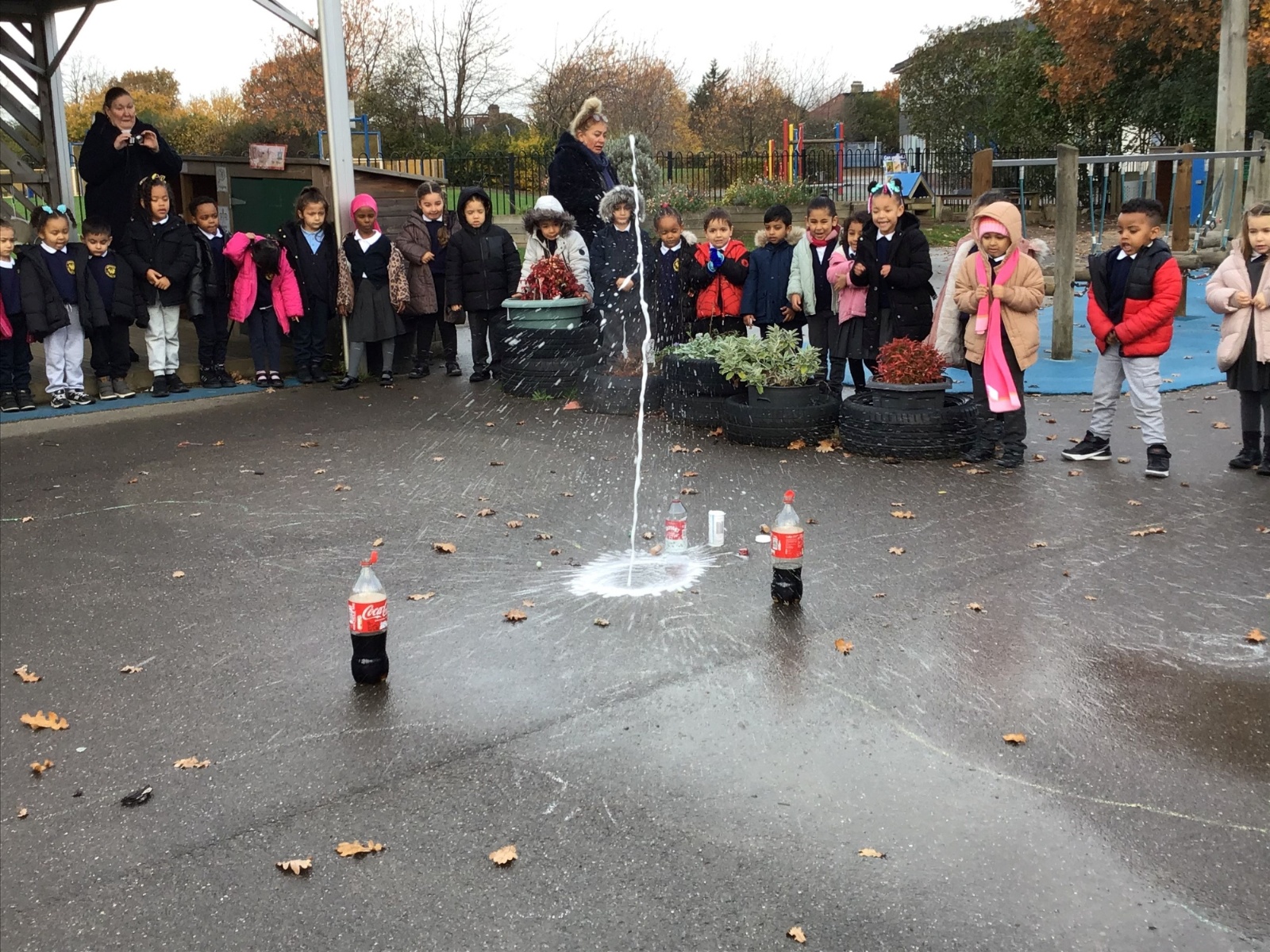 Wilbury Primary School - Reception