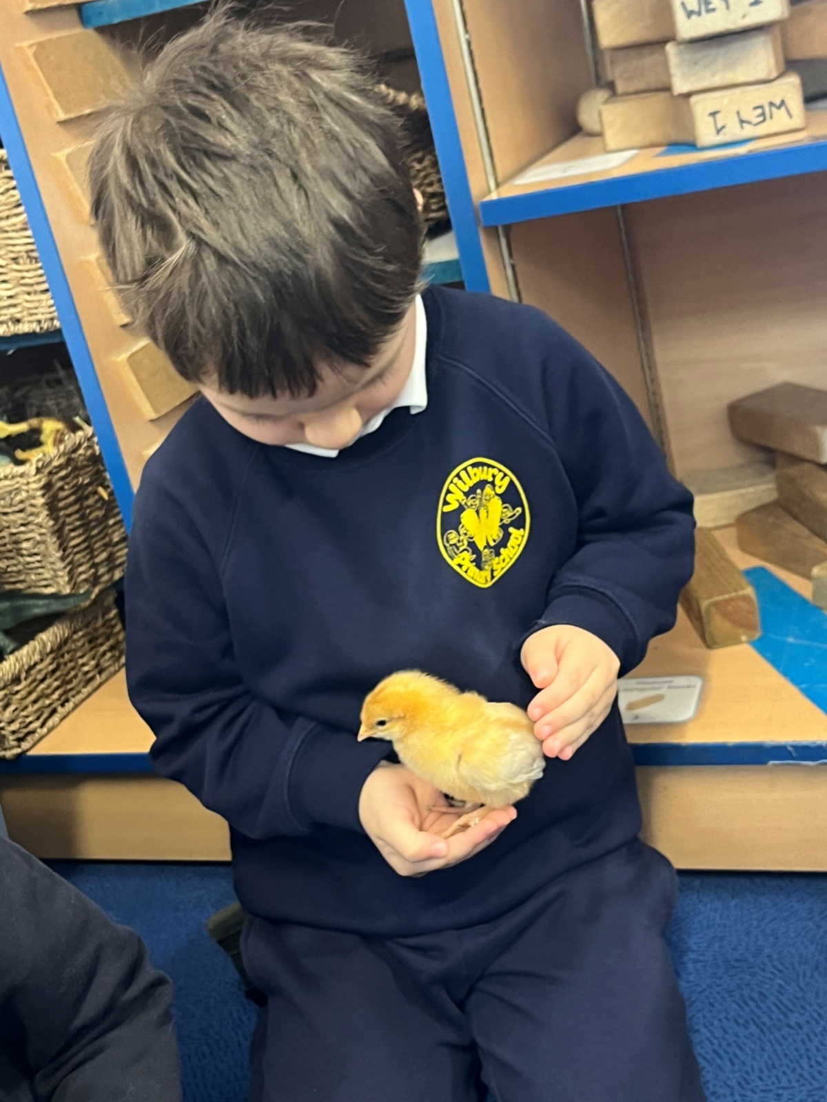 Wilbury Primary School - Reception