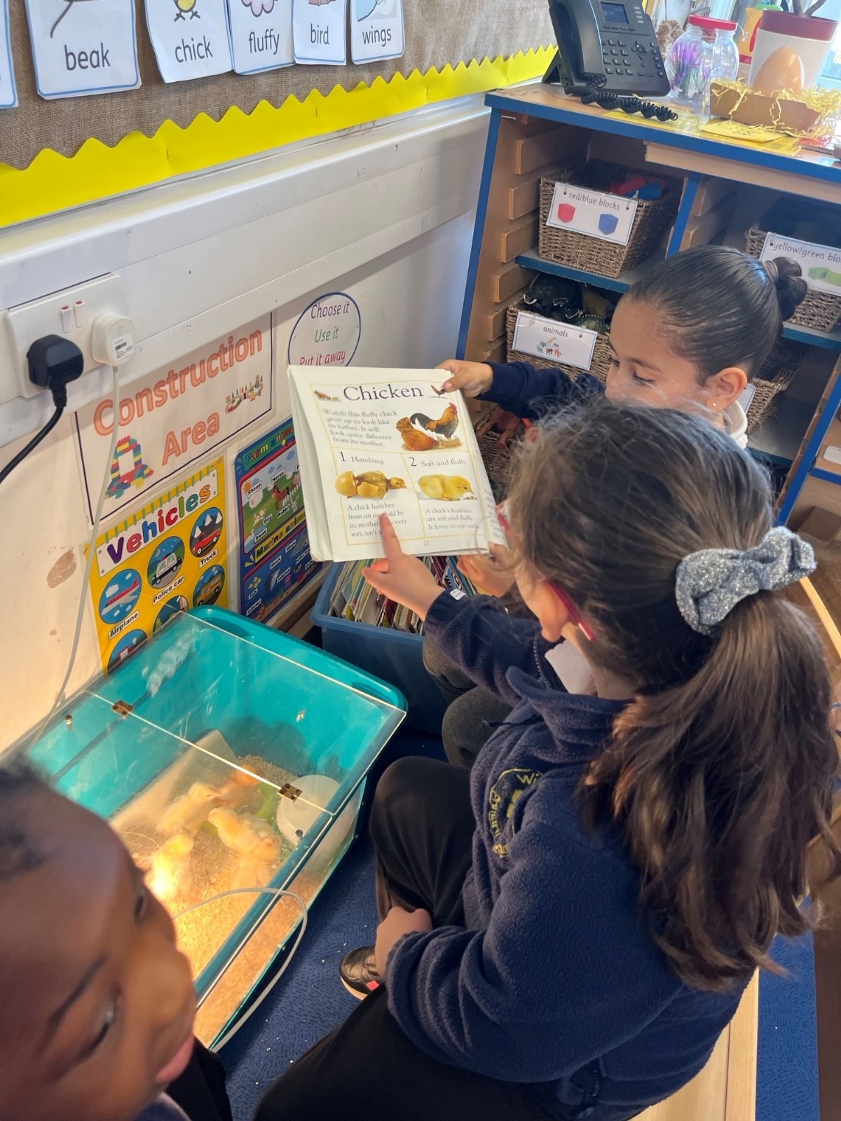 Wilbury Primary School - Reception