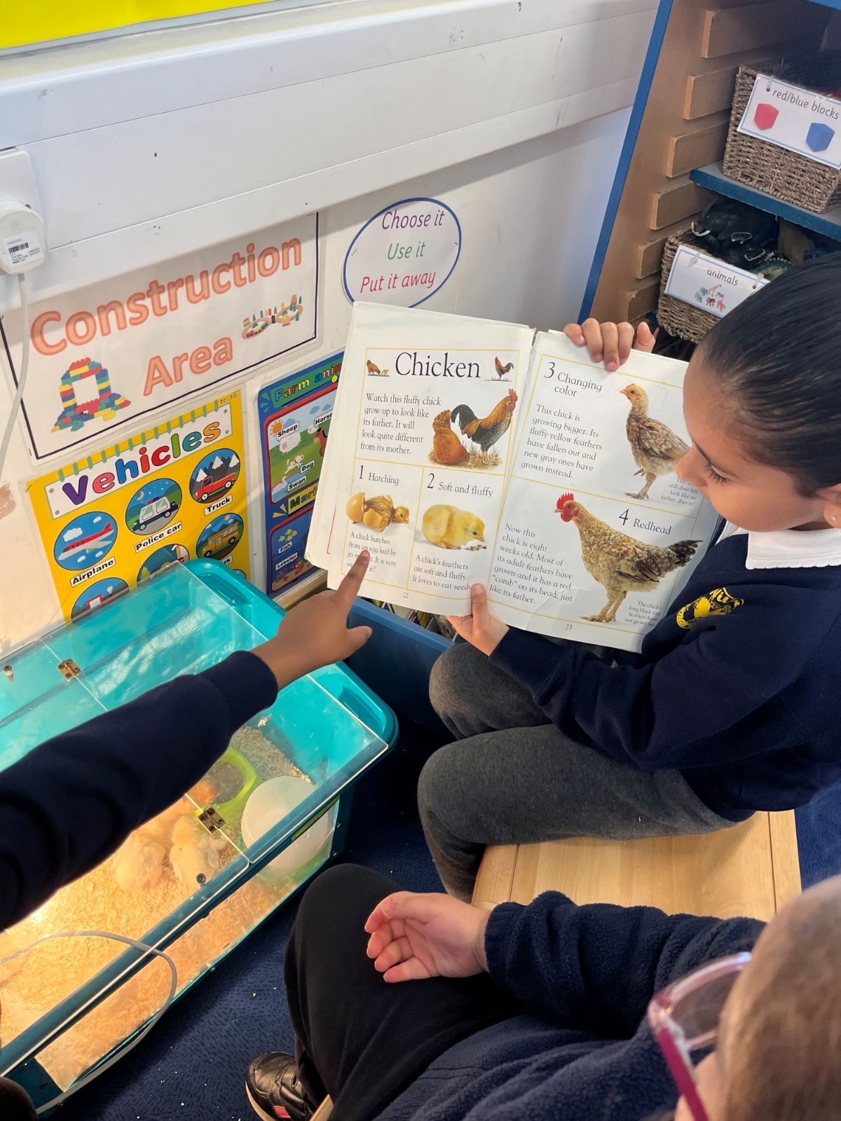 Wilbury Primary School - Reception