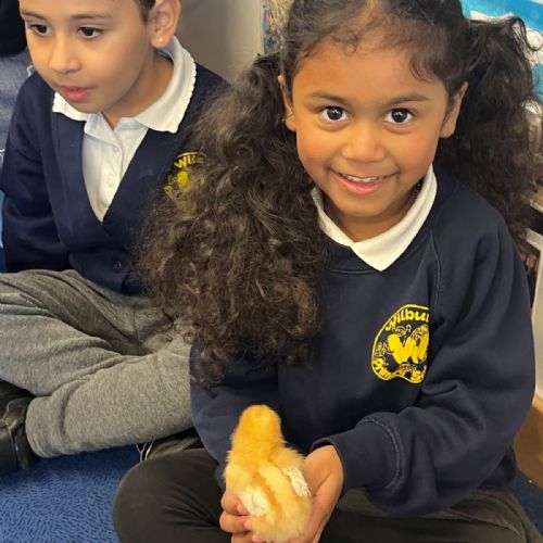 Wilbury Primary School - Reception