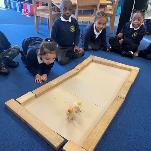 Wilbury Primary School - Reception