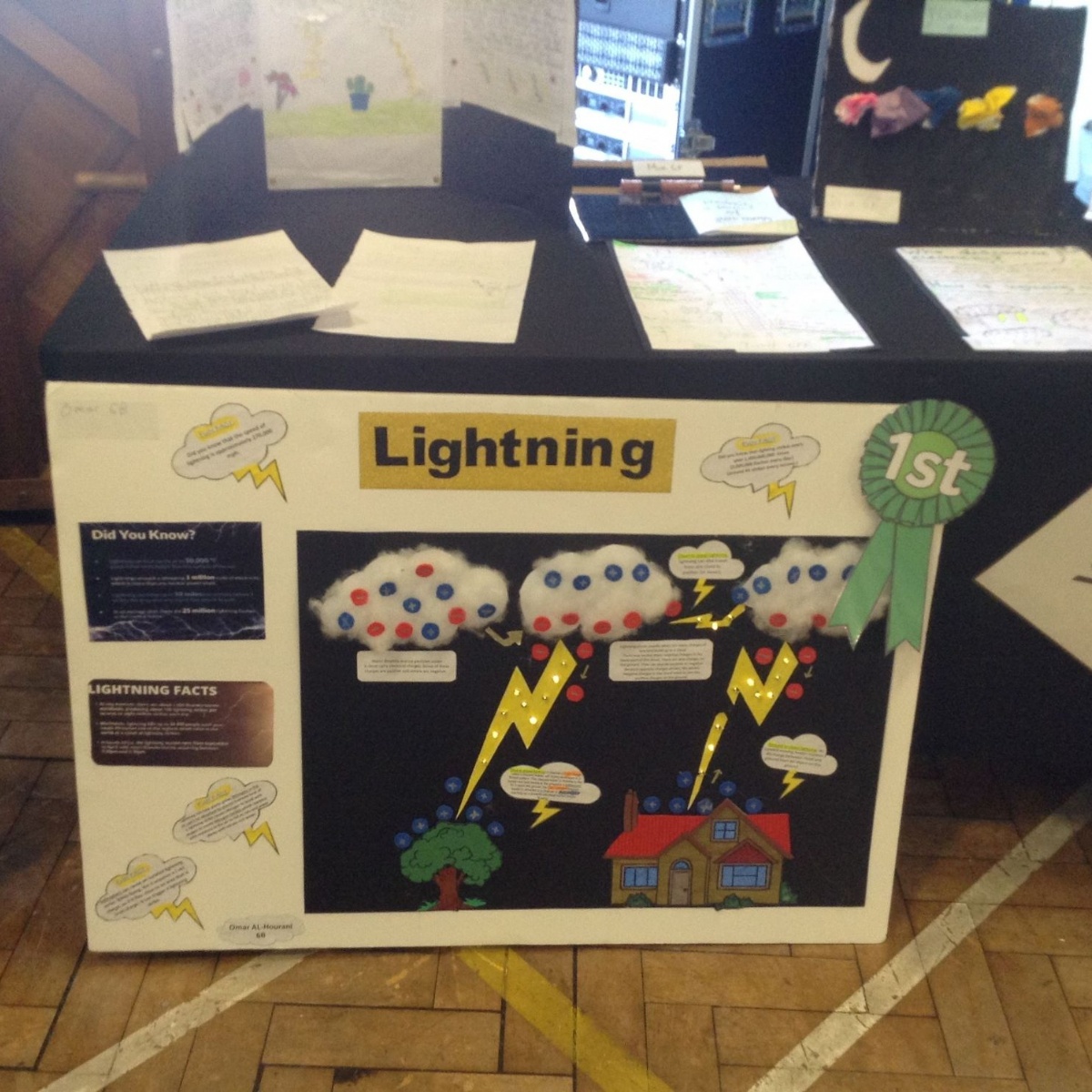 Wilbury Primary School - Science Exhibition